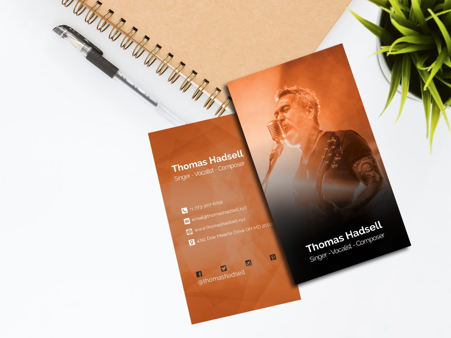 Creative Singer, Vocalist, Composer Business card | TechMix