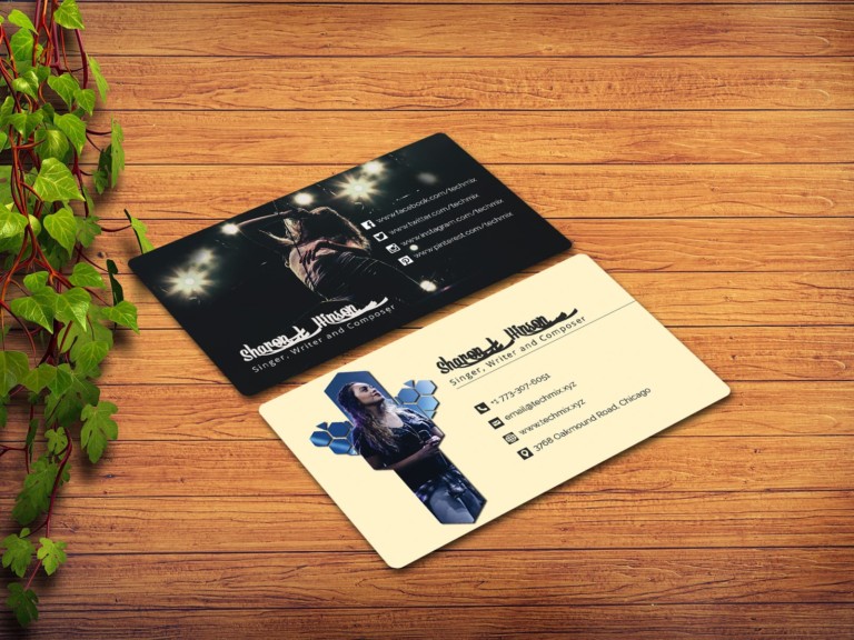 Singer/Musician/Vocalist/Composer Business Card Design | TechMix